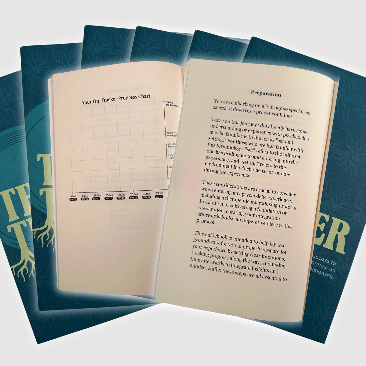 Trip Tracker Journal – Guided Psychedelic Integration Journal by OHMS ...